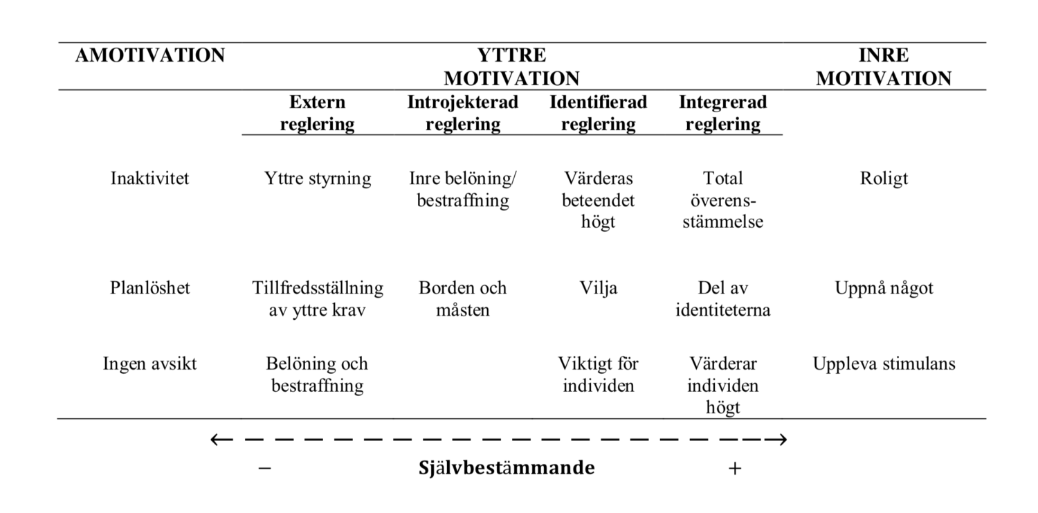 Motivation - Medveten skidteknik